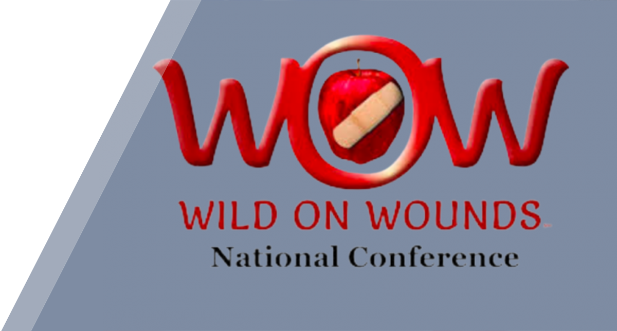 Drive DeVilbiss Healthcare’s Lerner to Present at Wild on Wounds